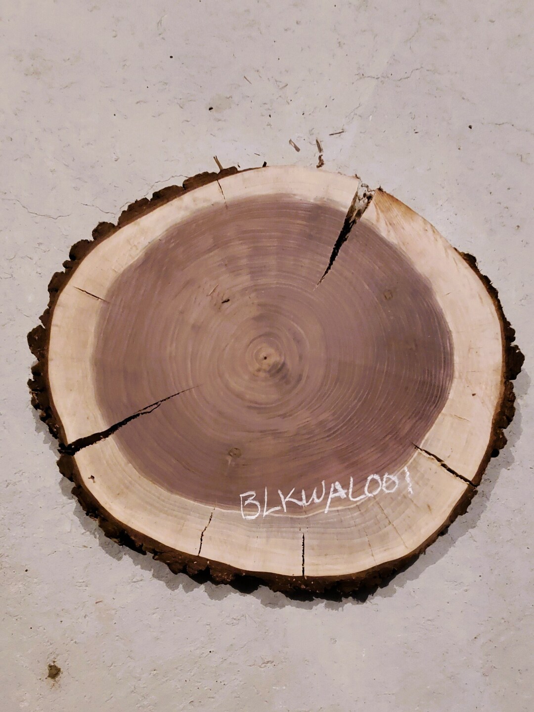 Black Walnut Wood Rounds | Dry Wood Slab | Raw Wood | Local Arborist ...