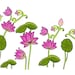 Pichwai Lotus Flowers, Buds, Leaves - Digital Images - Enlargeable ...