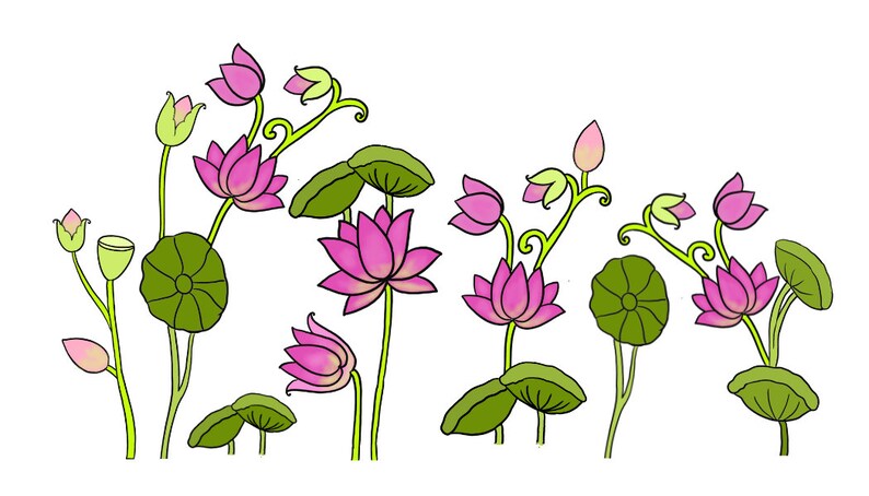 Pichwai Lotus Flowers, Buds, Leaves - Digital Images - Enlargeable ...