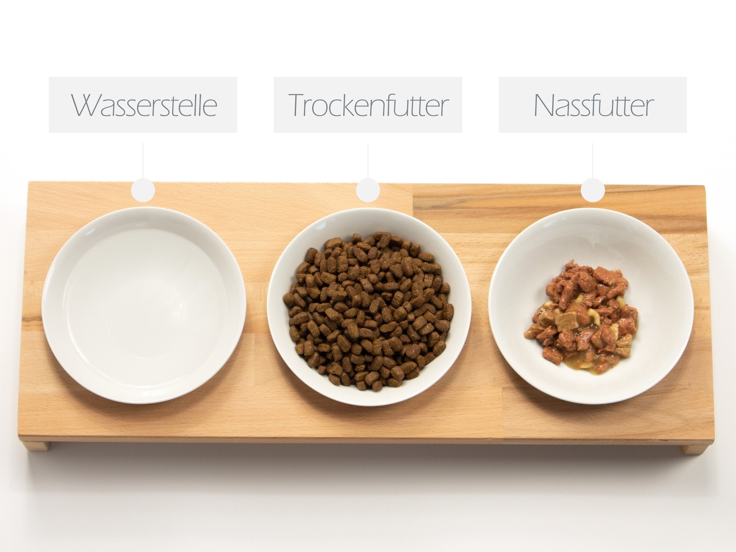 FINDAL Katzennapf 3er Set aus echt Holz Buche mit 3 weißen - Etsy.de