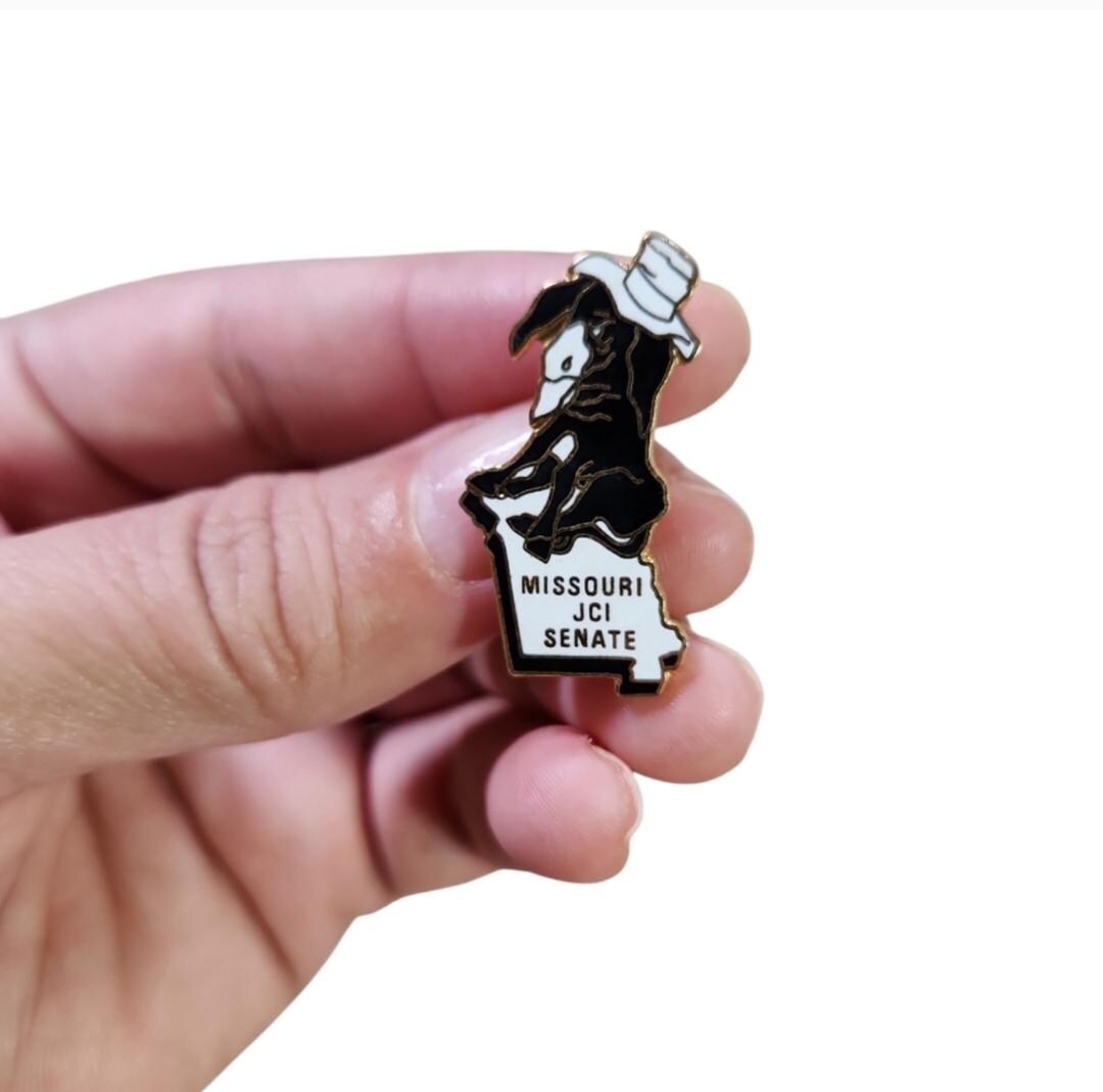 Vintage Gold Toned Missouri JCI Senate Pin - Etsy