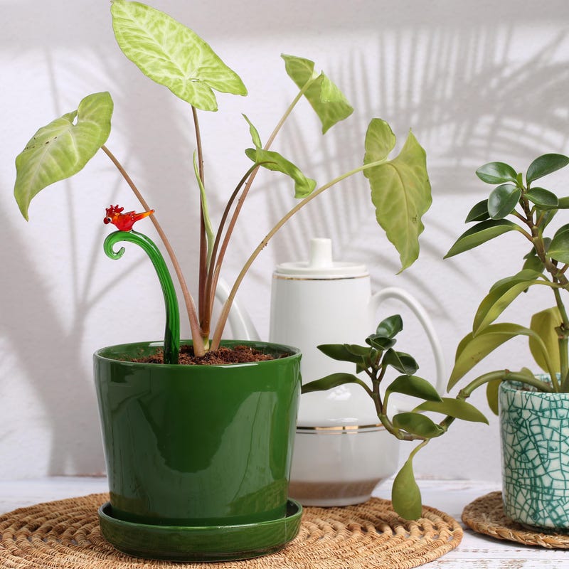 Parrot Planter - Etsy