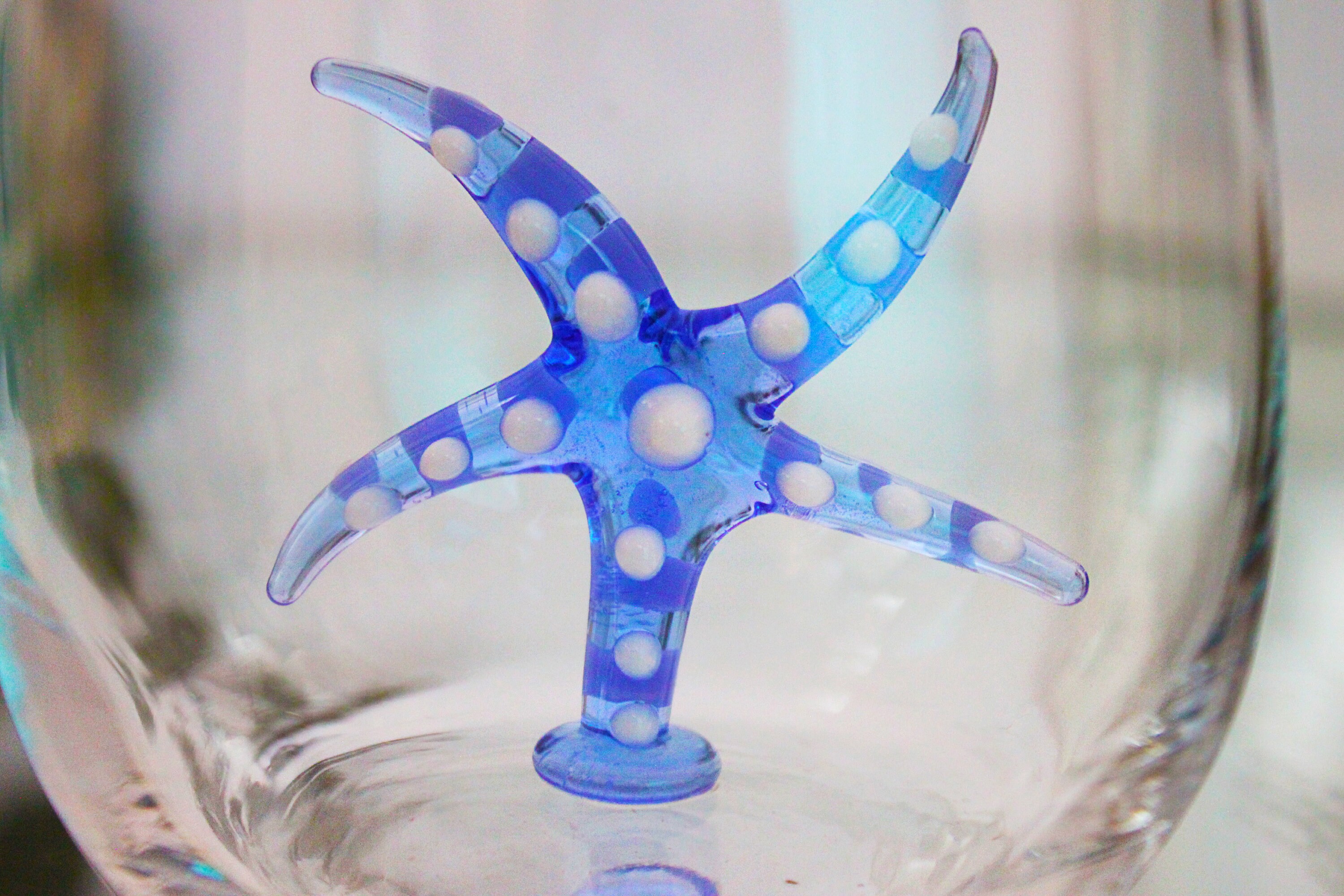 Glass Cup With Sea Animals, Drink Glass, Seahorse Glass, Ocean Decor ...