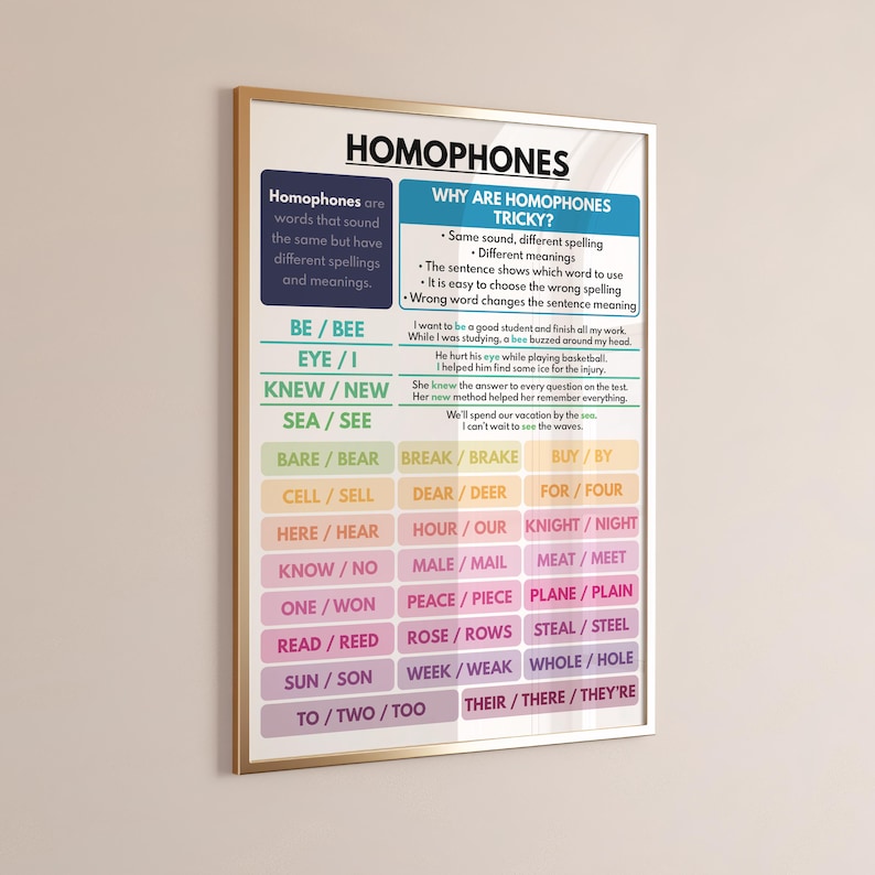 HOMOPHONES POSTER, English Language, Grammar Chart, Correct Spelling ...