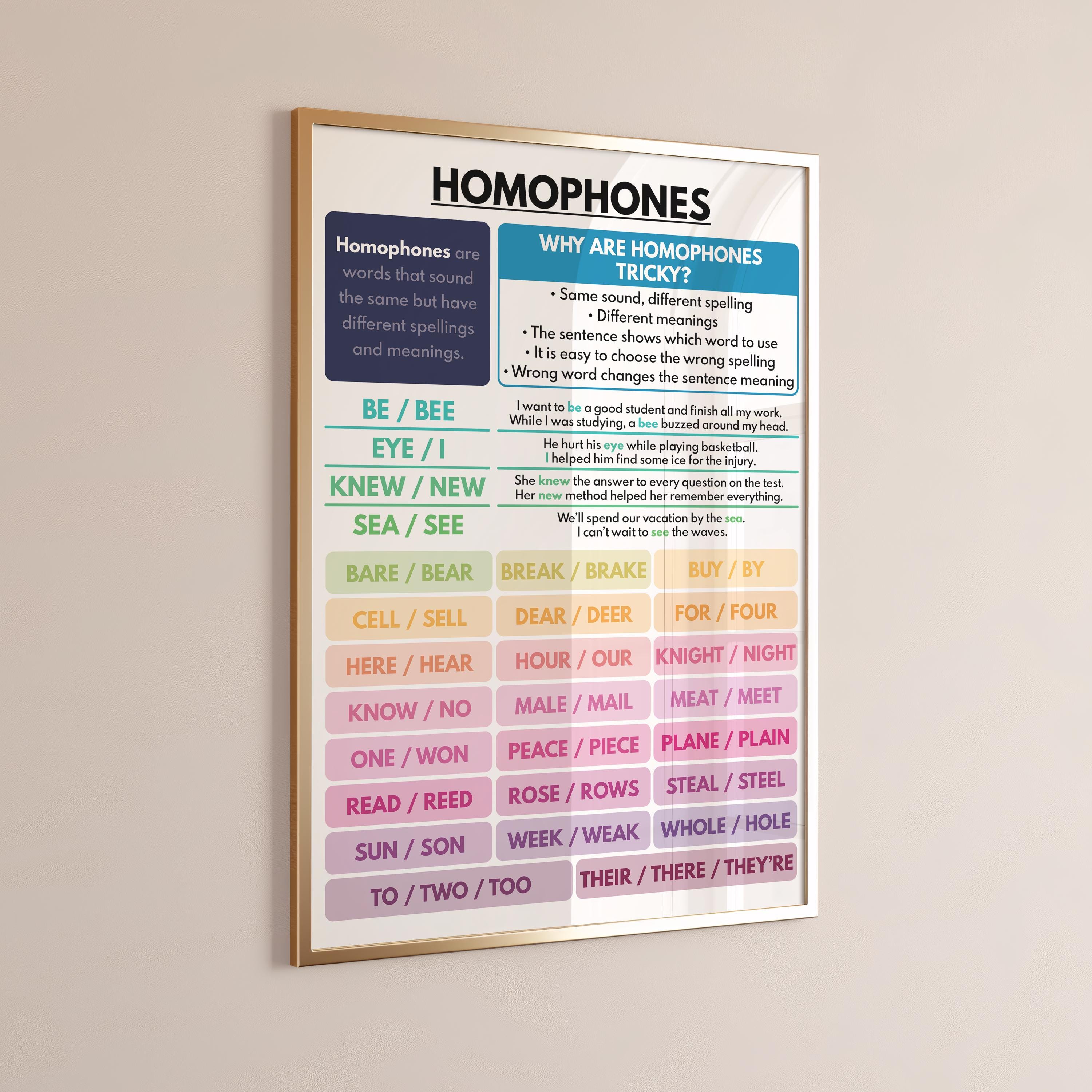 HOMOPHONES POSTER, English Language, Grammar Chart, Correct Spelling ...
