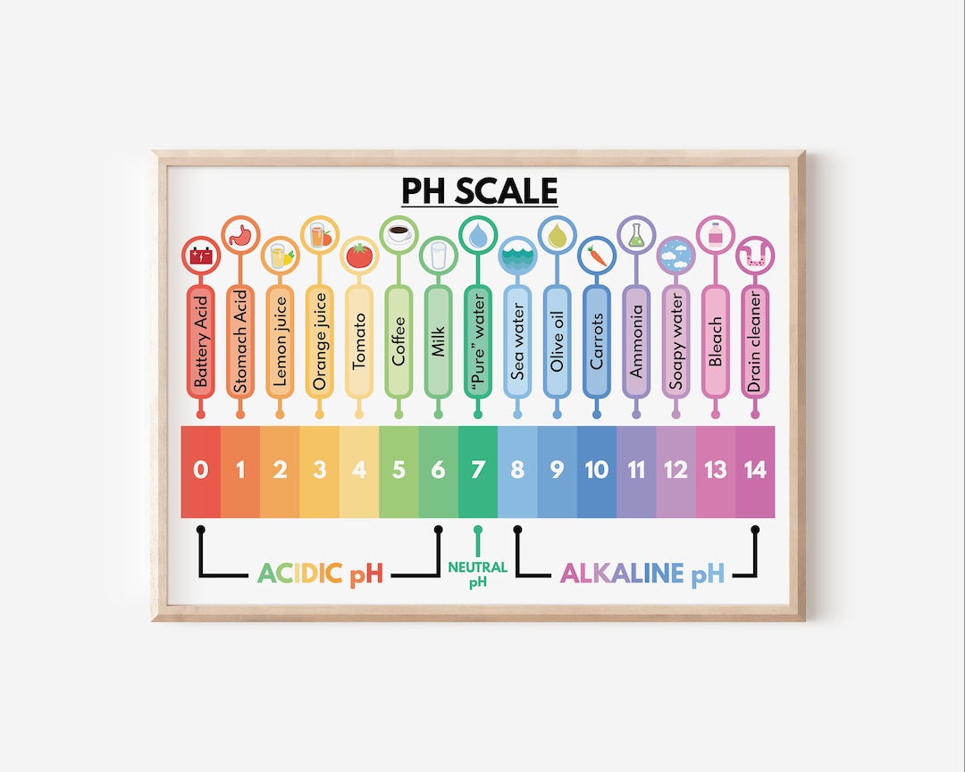 PH SCALE POSTER, Educational Posters, Science Poster for Kids, Visual ...