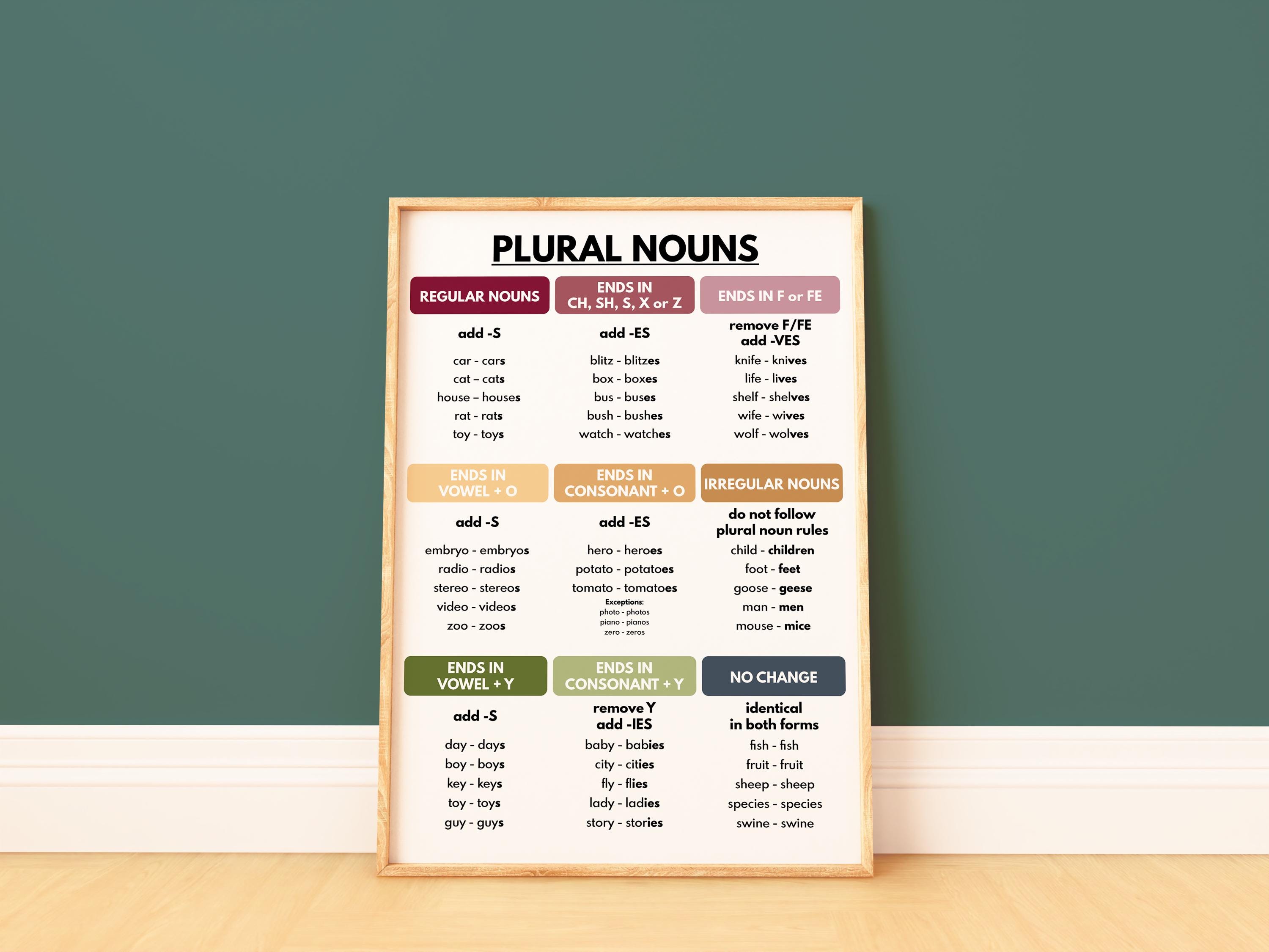 Plural Nouns Grammar Poster: Homeschool Classroom Decor (digital ...