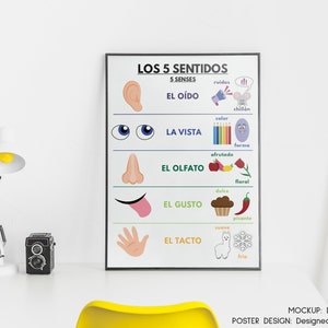 Spanish Language, FIVE SENSES POSTER, Educational Posters, Hearing ...