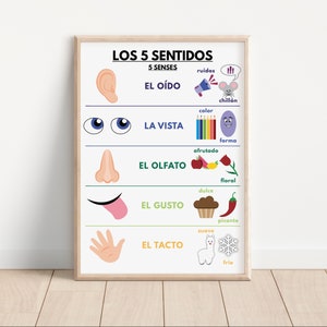 Spanish Language, FIVE SENSES POSTER, Educational Posters, Hearing ...