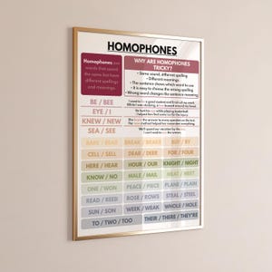 HOMOPHONES POSTER, English Language, Grammar Chart, Correct Spelling ...