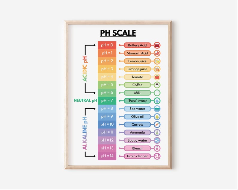 CARTEL DE ESCALA DE PH, Cartel educativo, Cartel de ciencia para niños, Matemáticas, Colores del ...