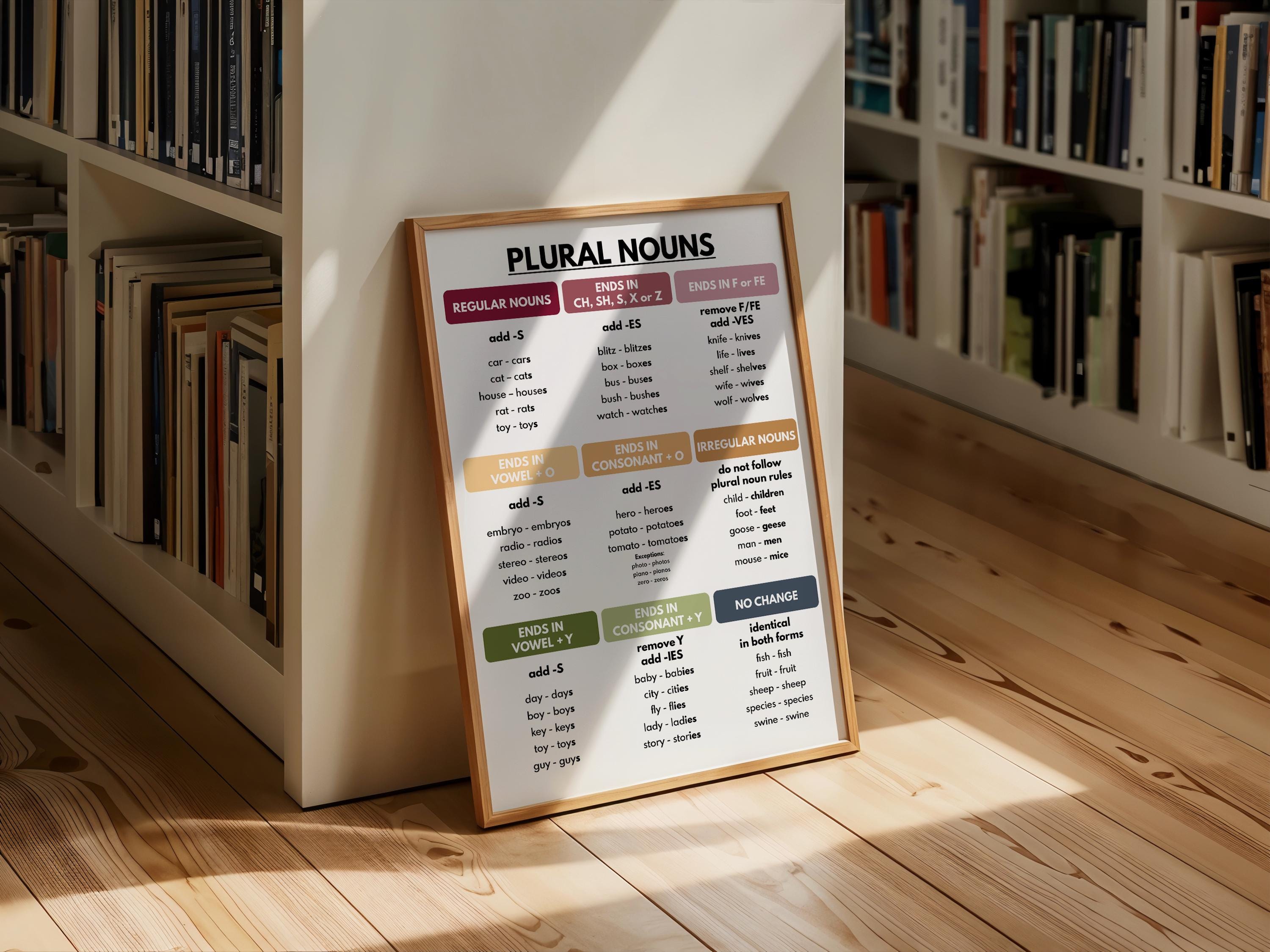 Plural Nouns Grammar Poster: Homeschool Classroom Decor (digital ...