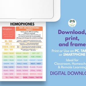 HOMOPHONES POSTER, English Language, Grammar Chart, Correct Spelling ...