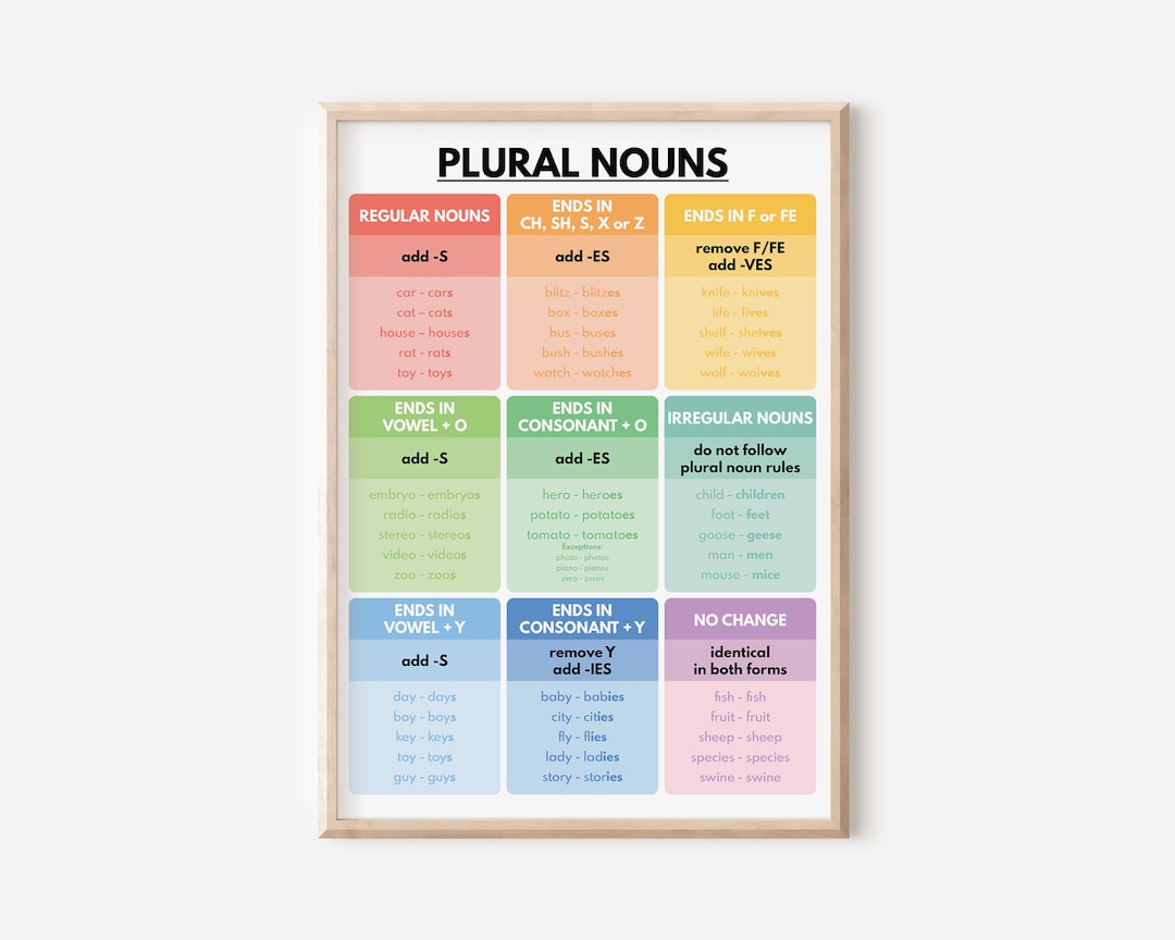 PLURAL NOUNS POSTER, Grammar Rules Chart for Homeschool, Classroom Wall ...