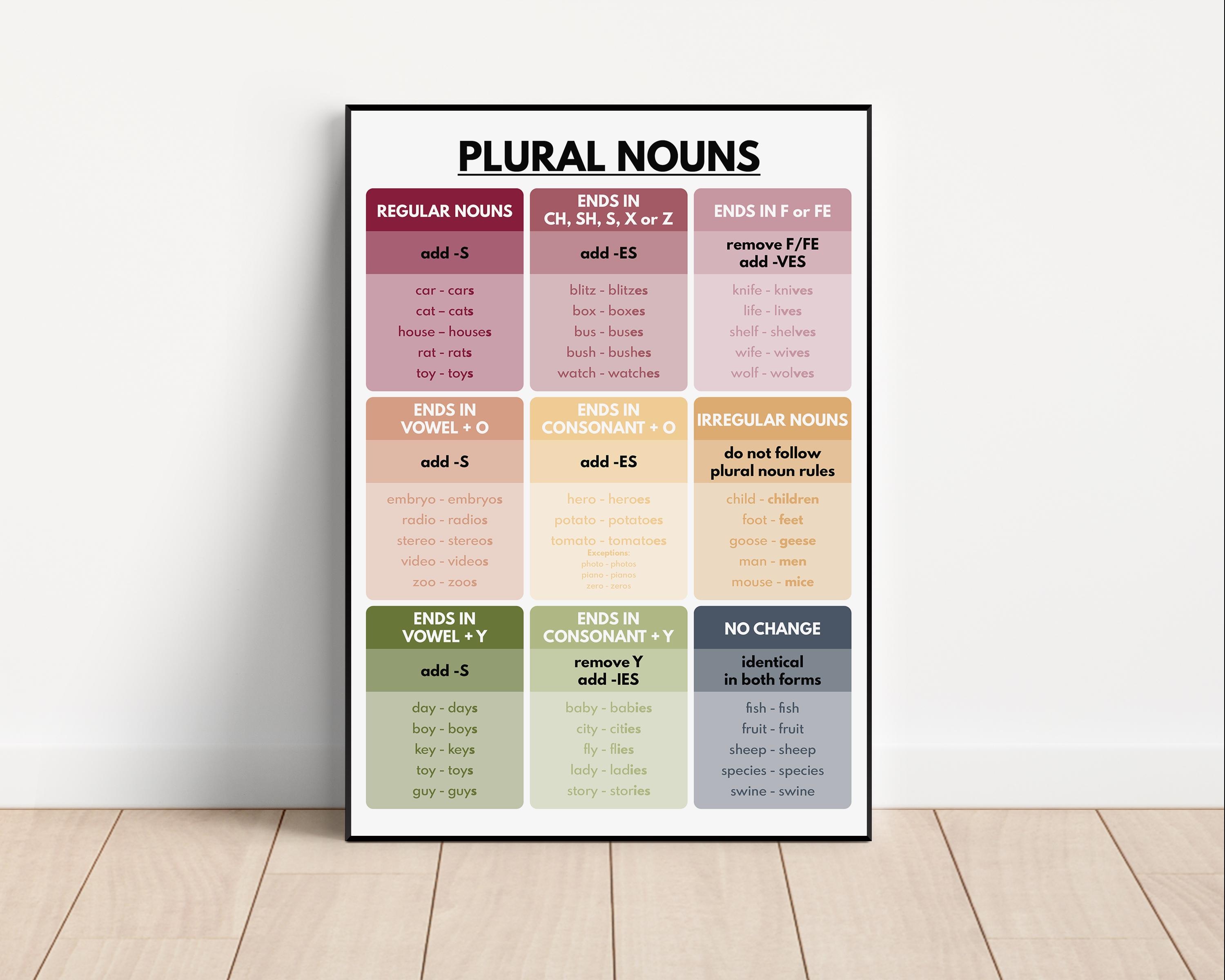 Plural Nouns Grammar Poster: Homeschool Classroom Decor (digital ...