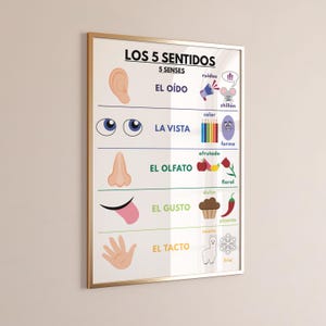Spanish Language, FIVE SENSES POSTER, Educational Posters, Hearing ...