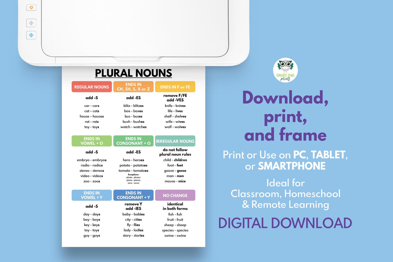 PLURAL NOUNS POSTER, Grammar Chart for Homeschool, Classroom Wall Decor ...