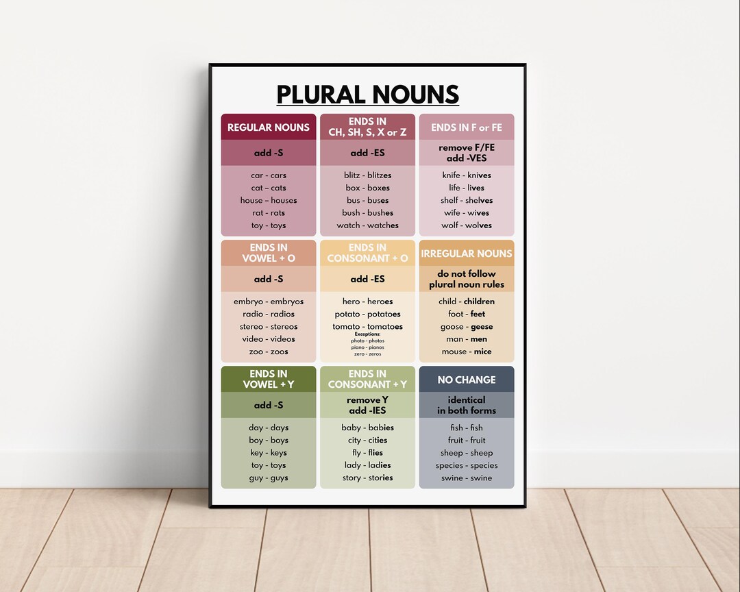 PLURAL NOUNS POSTER, Grammar Rules Chart for Homeschool, Classroom Wall ...