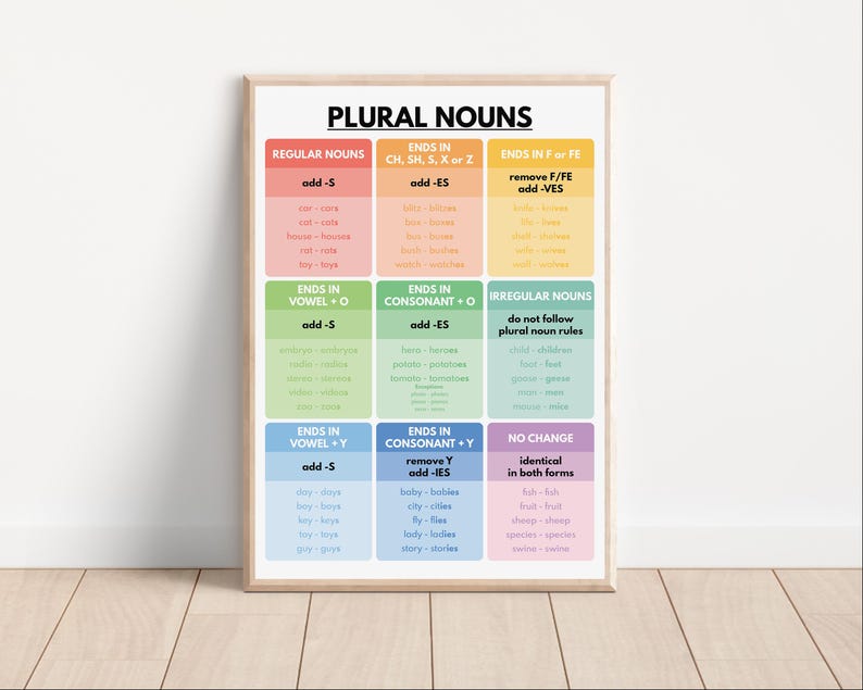 PLURAL NOUNS POSTER, Grammar Chart for Homeschool, Classroom Wall Decor ...