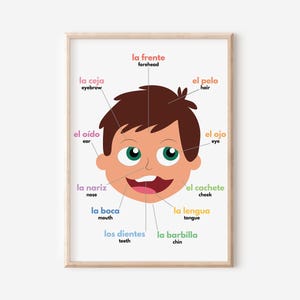 Spanish Language, BODY PARTS in Spanish, Face, Spanish Nouns, Spanish ...