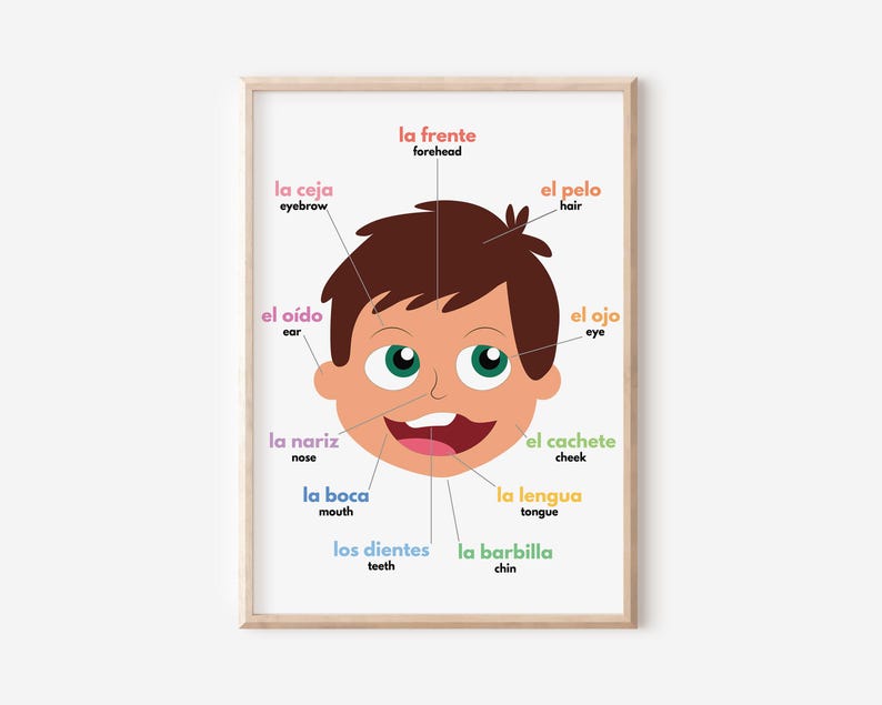 Spanish Language, BODY PARTS in Spanish, Face, Spanish Nouns, Spanish ...