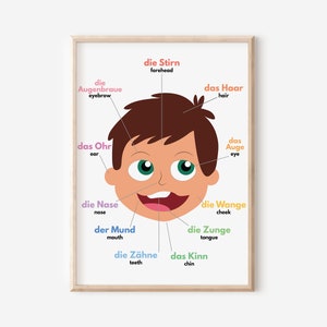 German Language, BODY PARTS - Set of 3 Posters, German Vocabulary ...