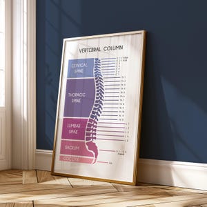 SPINE POSTER, Spinal Column, Human Spine, Anatomy Art, Vertebral Column ...