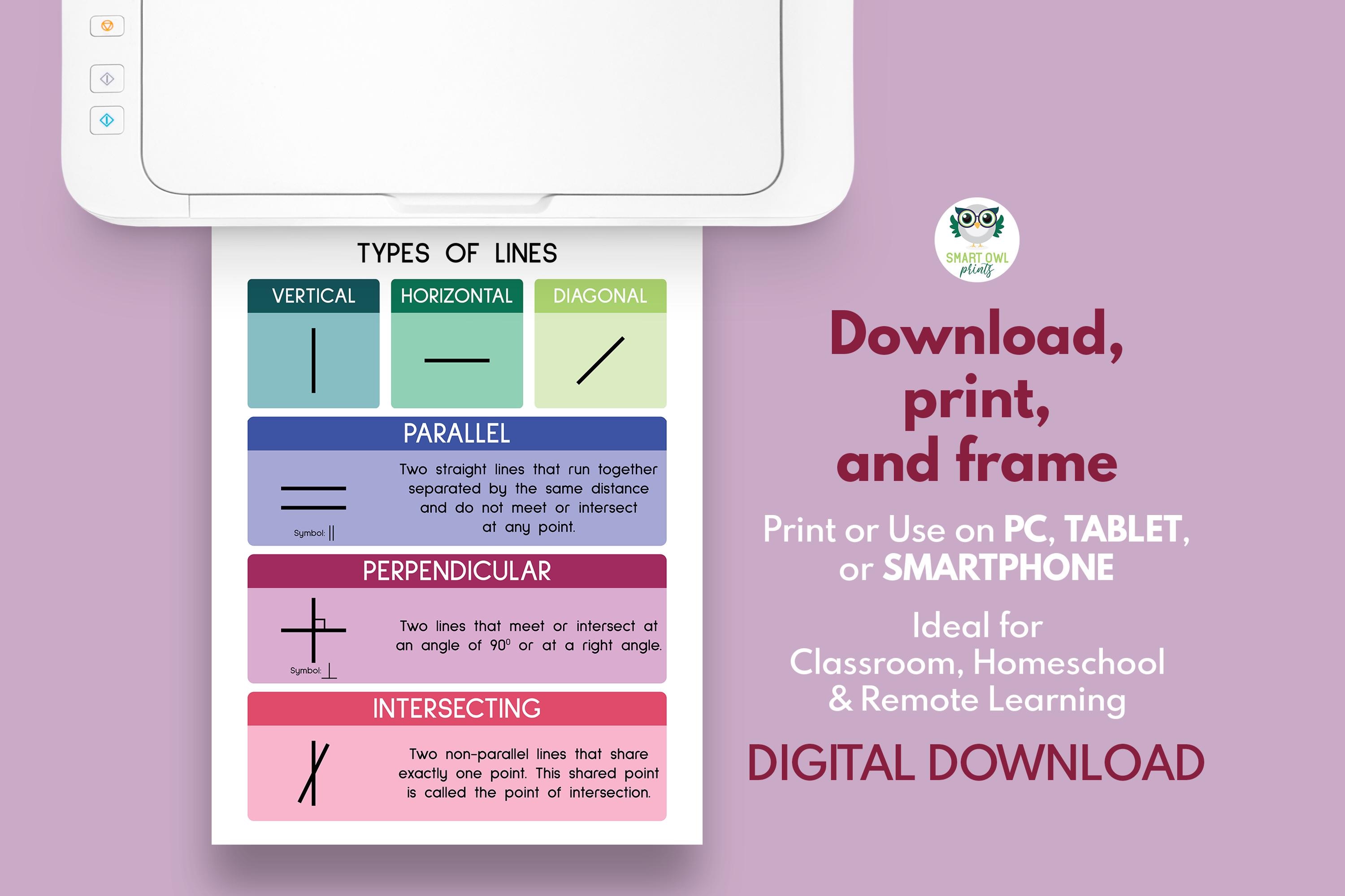 TYPES OF LINES, Geometry, Educational Posters, Math Visual Aids ...