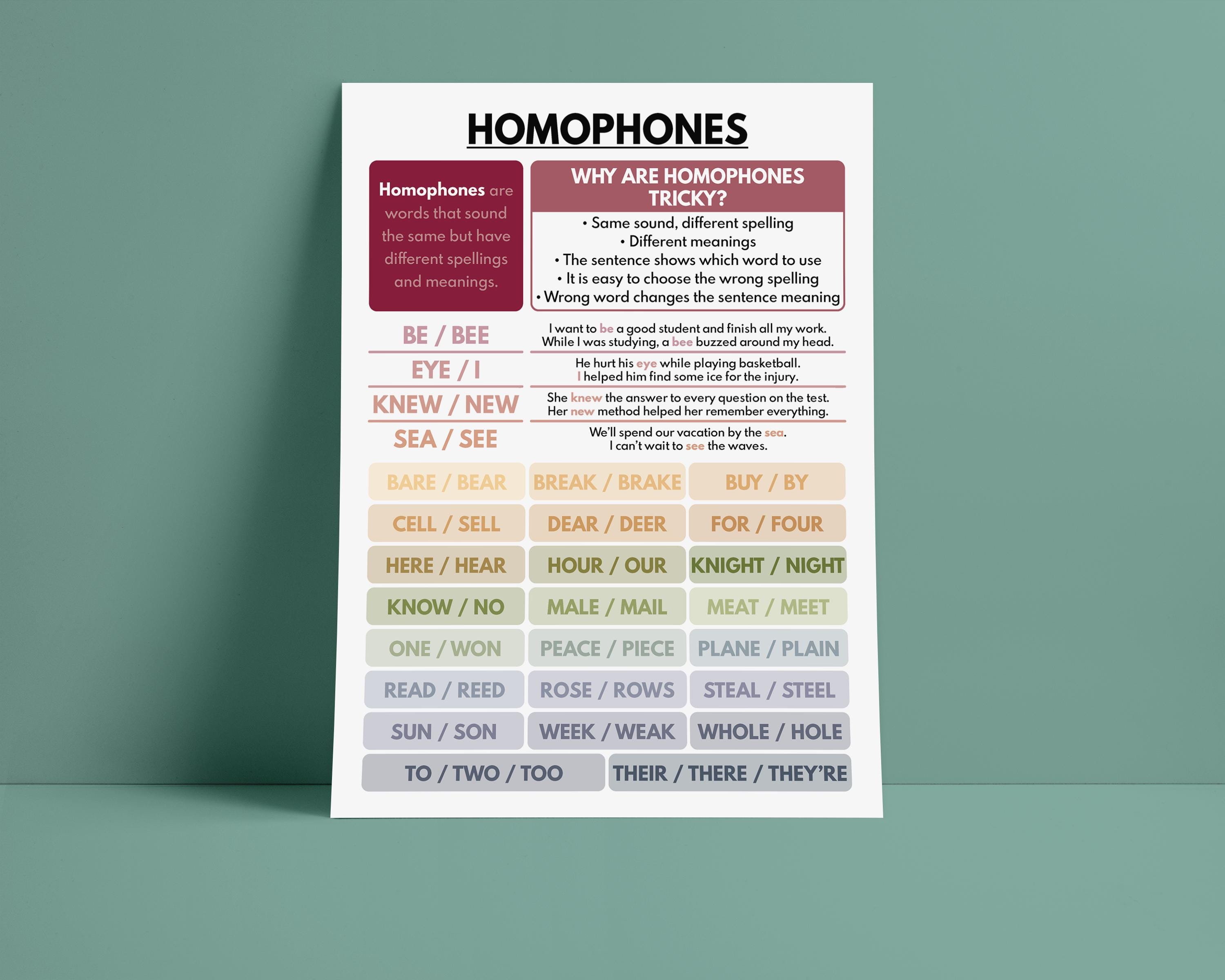 HOMOPHONES POSTER, English Language, Grammar Chart, Correct Spelling ...