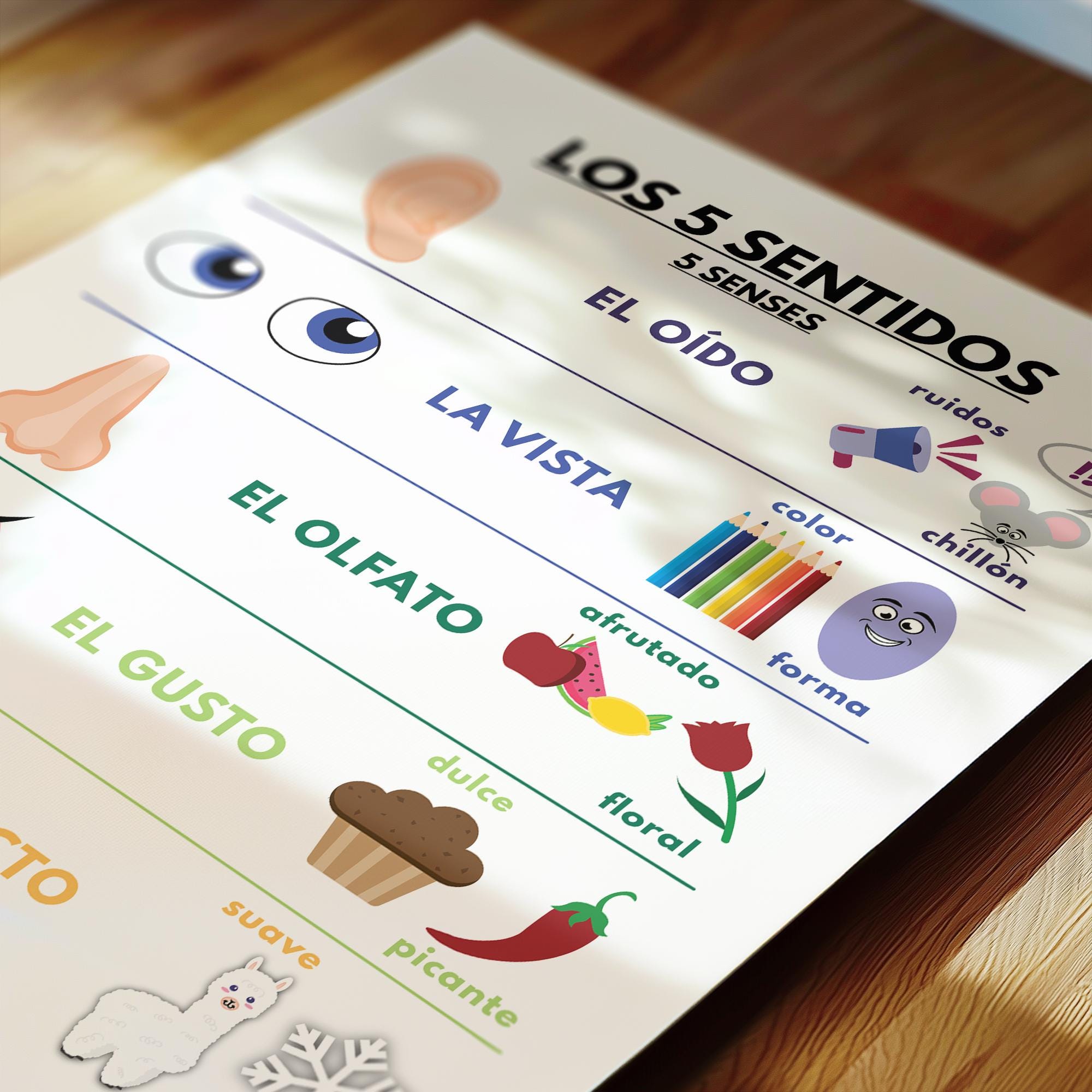 Spanish Language, FIVE SENSES POSTER, Educational Posters, Hearing ...