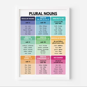 PLURAL NOUNS POSTER, Grammar Chart for Homeschool, Classroom Wall Decor ...