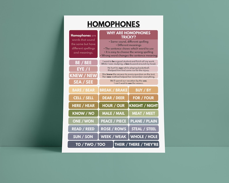 HOMOPHONES POSTER, English Language, Grammar Chart, Correct Spelling ...