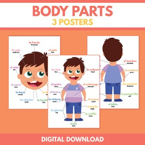 Spanish Language, BODY PARTS in Spanish, Face, Spanish Nouns, Spanish ...