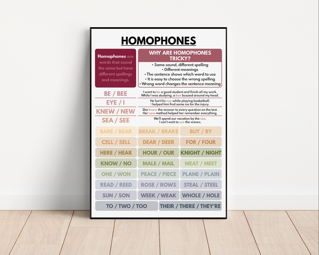 HOMOPHONES POSTER, English Language, Grammar Chart, Correct Spelling ...