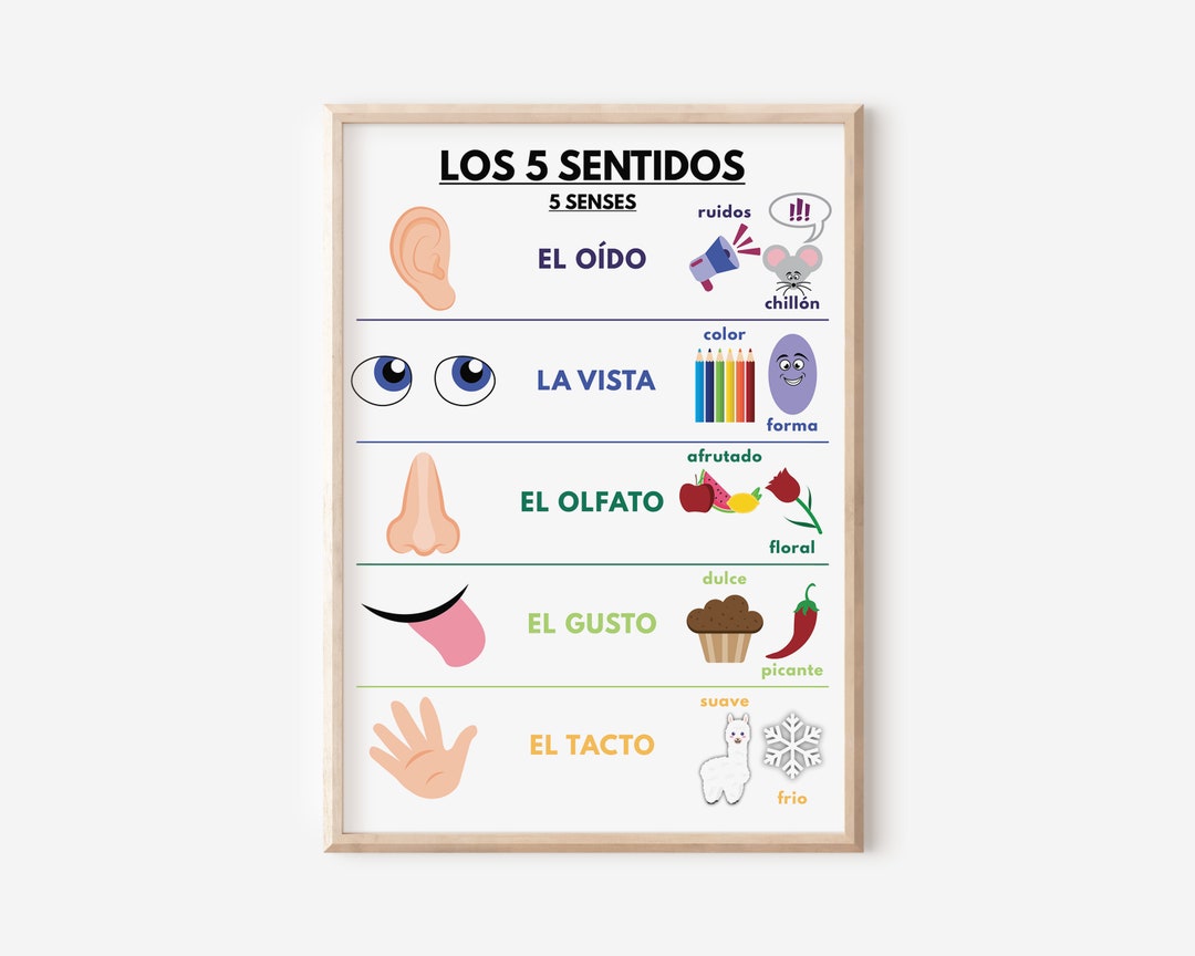 Spanish Language, FIVE SENSES POSTER, Educational Posters, Hearing ...