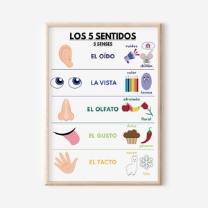 Spanish Language, FIVE SENSES POSTER, Educational Posters, Hearing ...