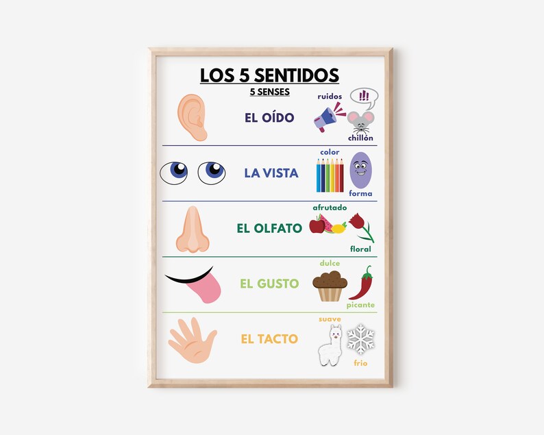Spanish Language Five Senses Poster Educational Posters Hearing