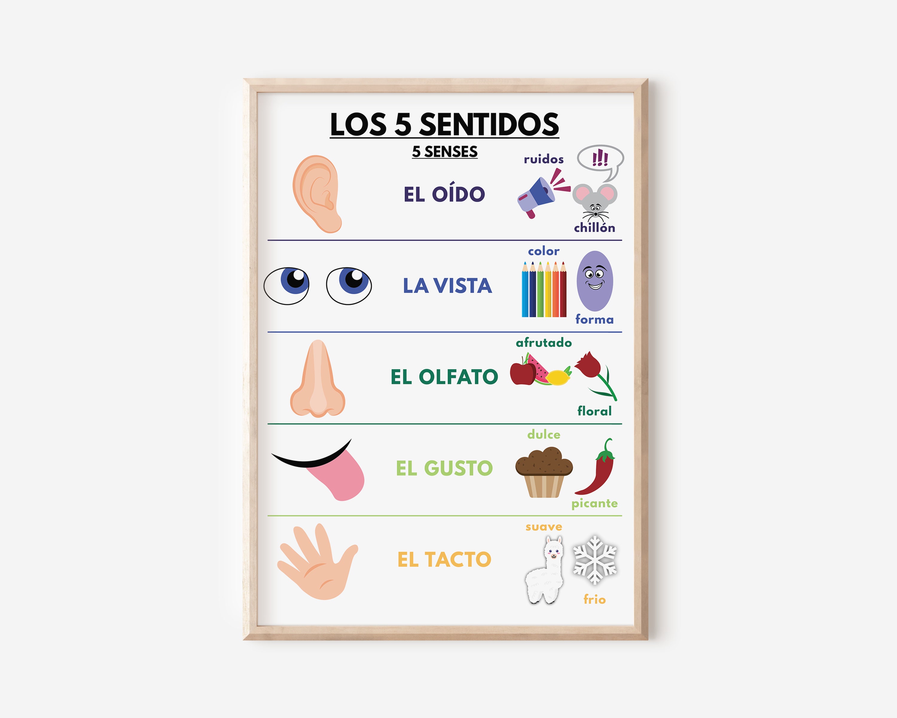 Spanish Language, FIVE SENSES POSTER, Educational Posters, Hearing ...