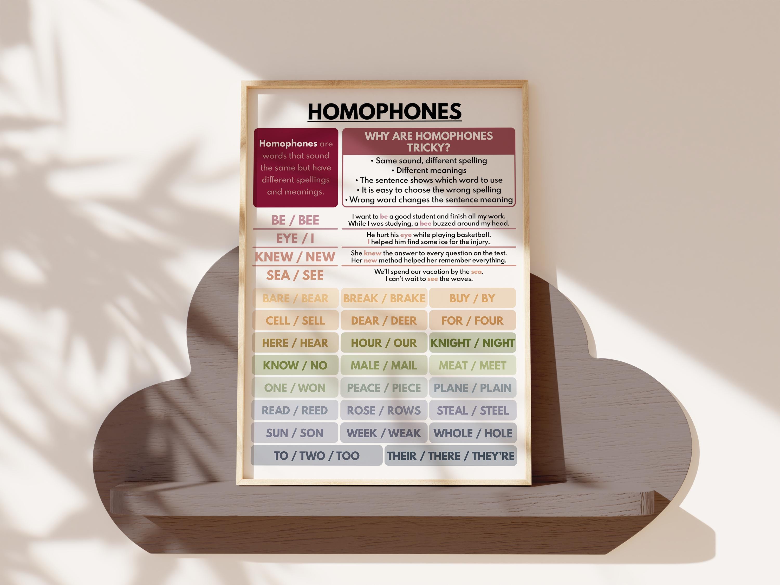 HOMOPHONES POSTER, English Language, Grammar Chart, Correct Spelling ...