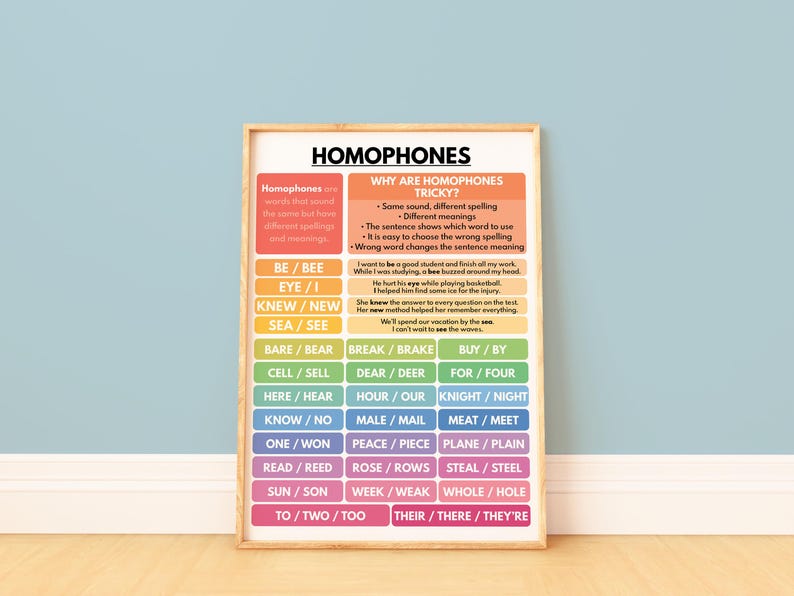 HOMOPHONES POSTER, English Language, Grammar Chart, Correct Spelling ...