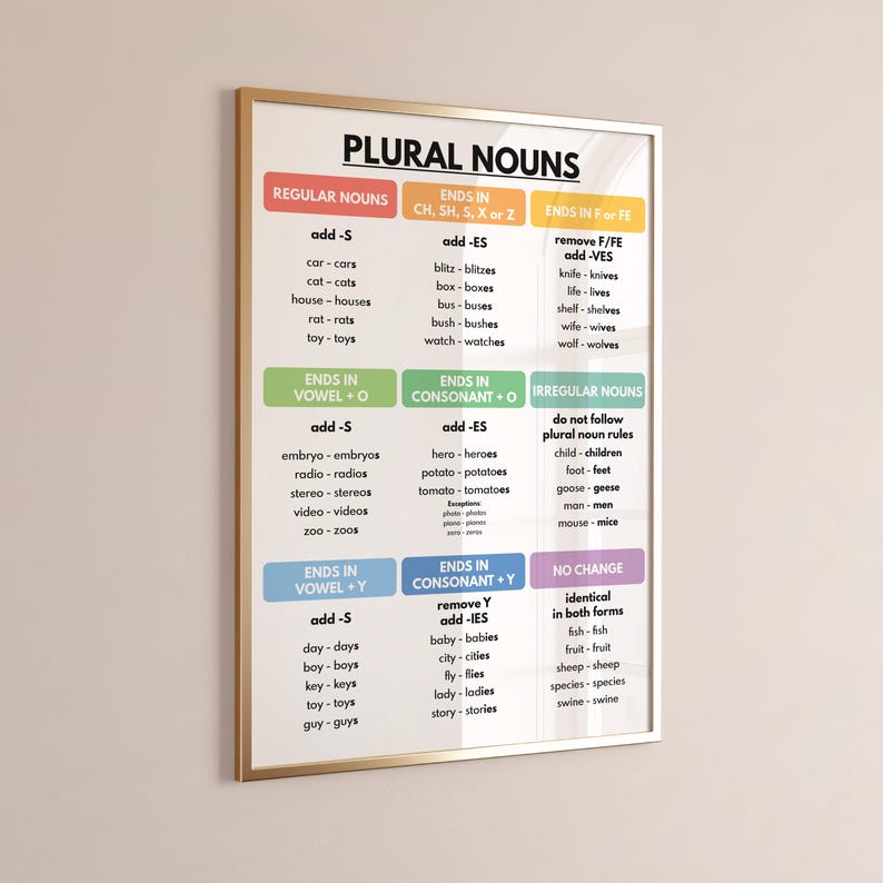 PLURAL NOUNS POSTER, Grammar Chart for Homeschool, Classroom Wall Decor ...