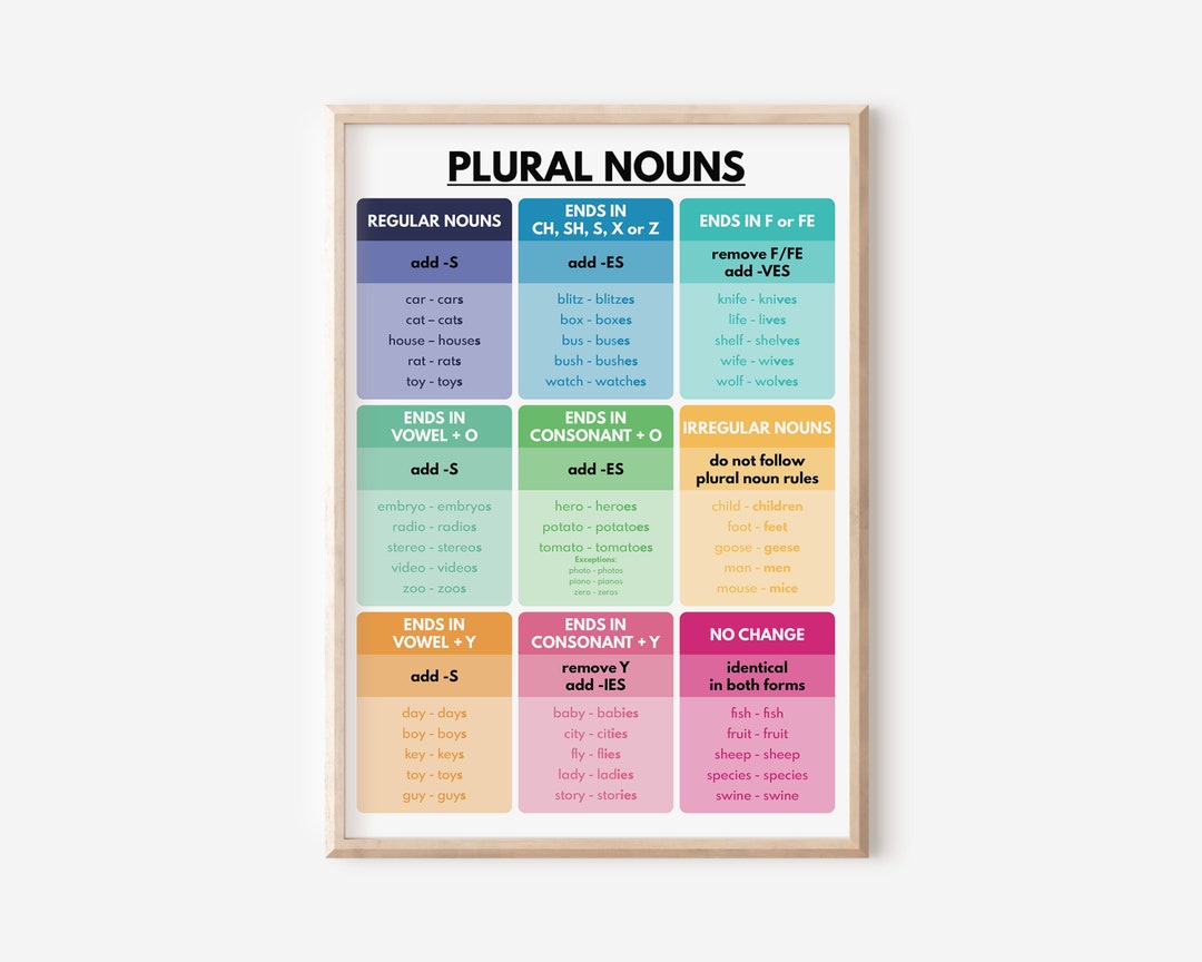 PLURAL NOUNS POSTER, Grammar Anchor Chart for Homeschool, Classroom ...