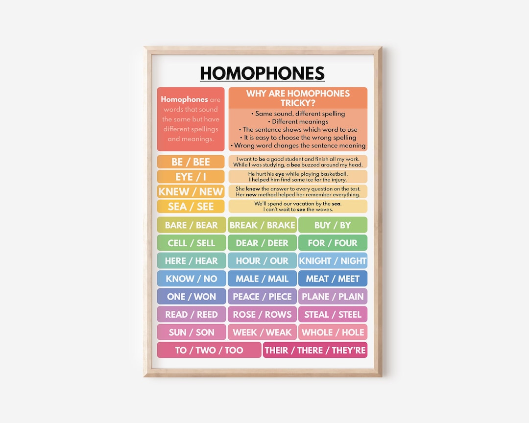 HOMOPHONES POSTER, English Language, Grammar Chart, Correct Spelling ...