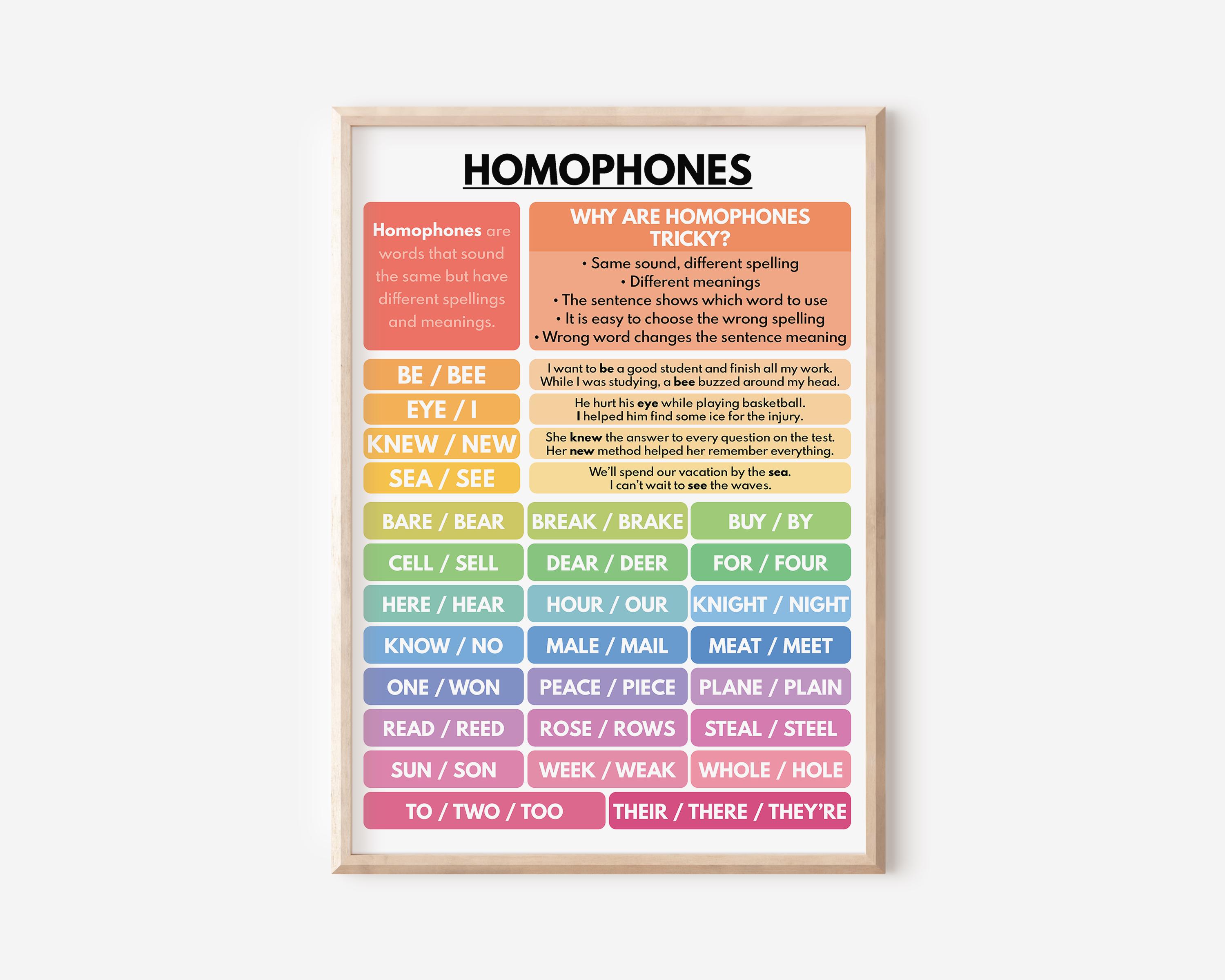 HOMOPHONES POSTER, English Language, Grammar Chart, Correct Spelling ...