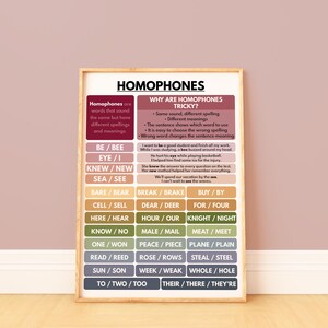 HOMOPHONES POSTER, English Language, Grammar Chart, Correct Spelling ...