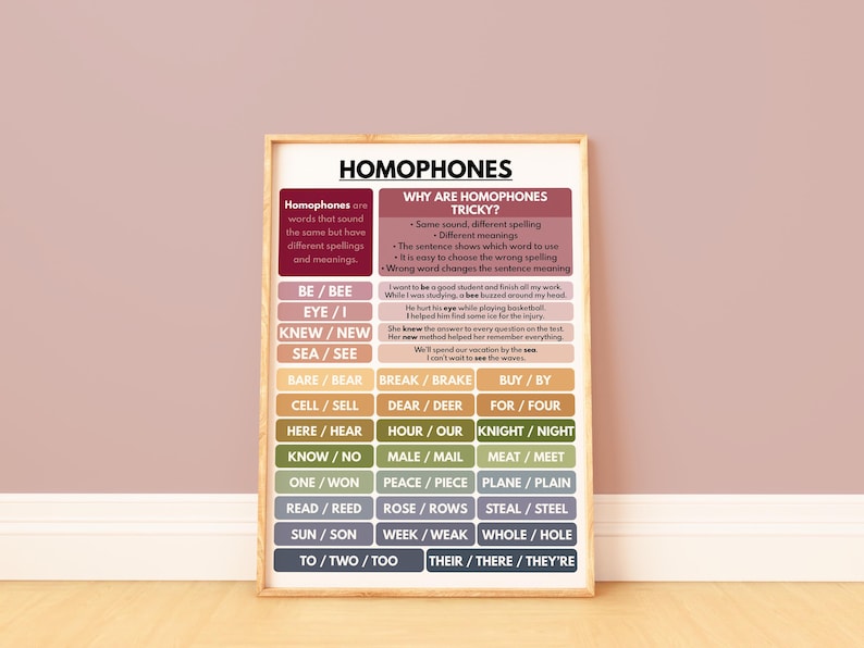 HOMOPHONES POSTER, English Language, Grammar Chart, Correct Spelling ...