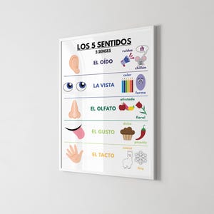 Spanish Language, FIVE SENSES POSTER, Educational Posters, Hearing ...