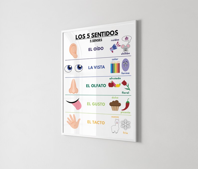 Spanish Language, FIVE SENSES POSTER, Educational Posters, Hearing ...
