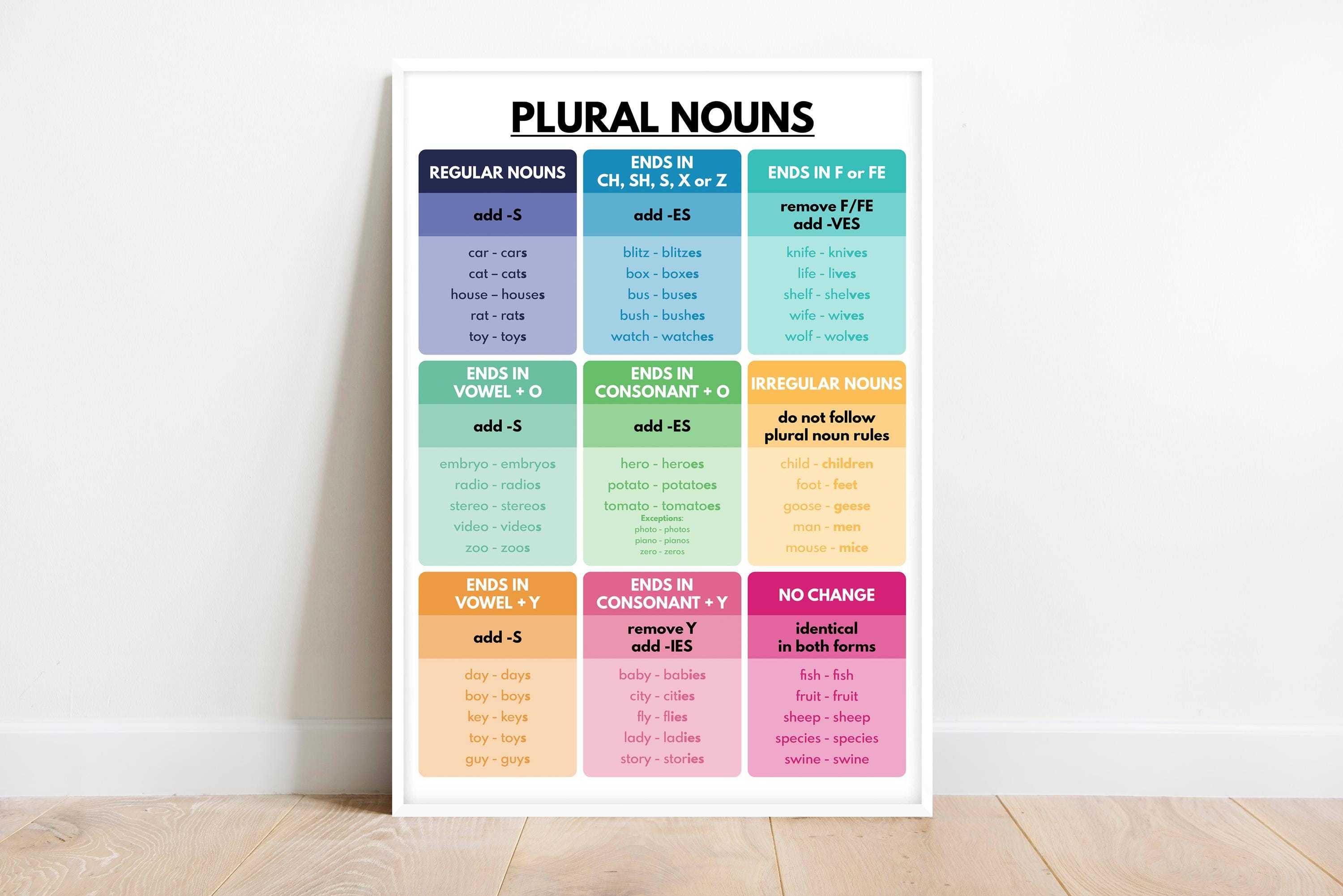 Buy PLURAL NOUNS POSTER, Grammar Anchor Chart for Homeschool, Classroom ...