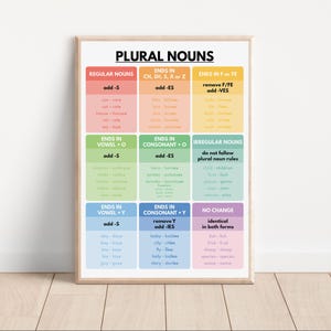 PLURAL NOUNS POSTER, Grammar Rules Chart for Homeschool, Classroom Wall ...